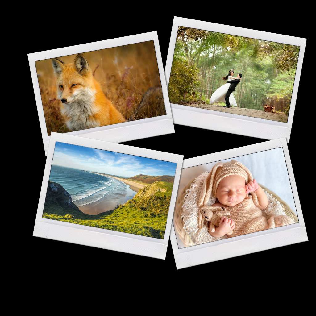 Hampton Framing | Custom Framing Services & Fine Art Printing